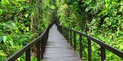 Insider's Costa Rica Student Tour | Explorica